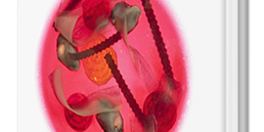 Lobster Americaine: Poached Lobster Tail with Coconut-Lobster Emulsion ...